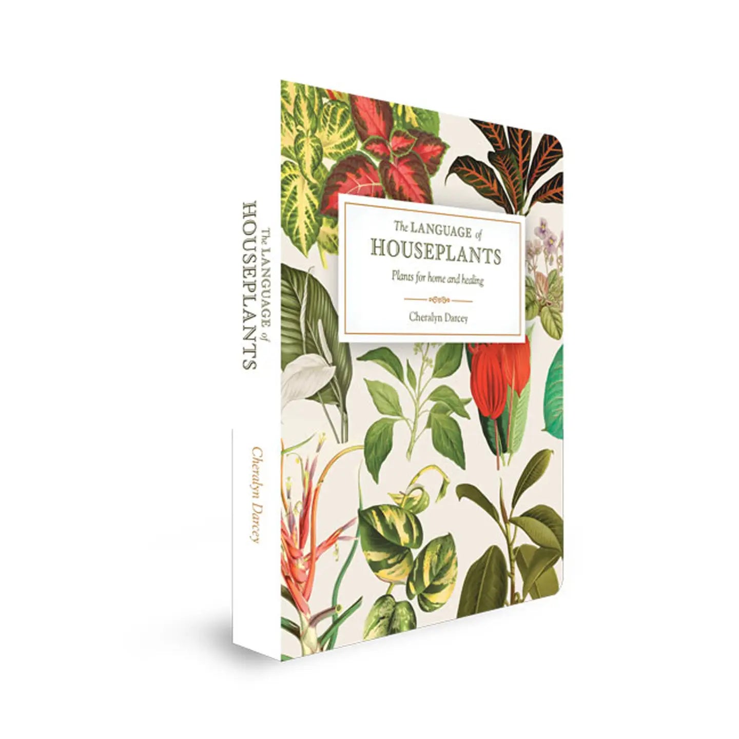 Language of Houseplants Book – The Hare and the Moon