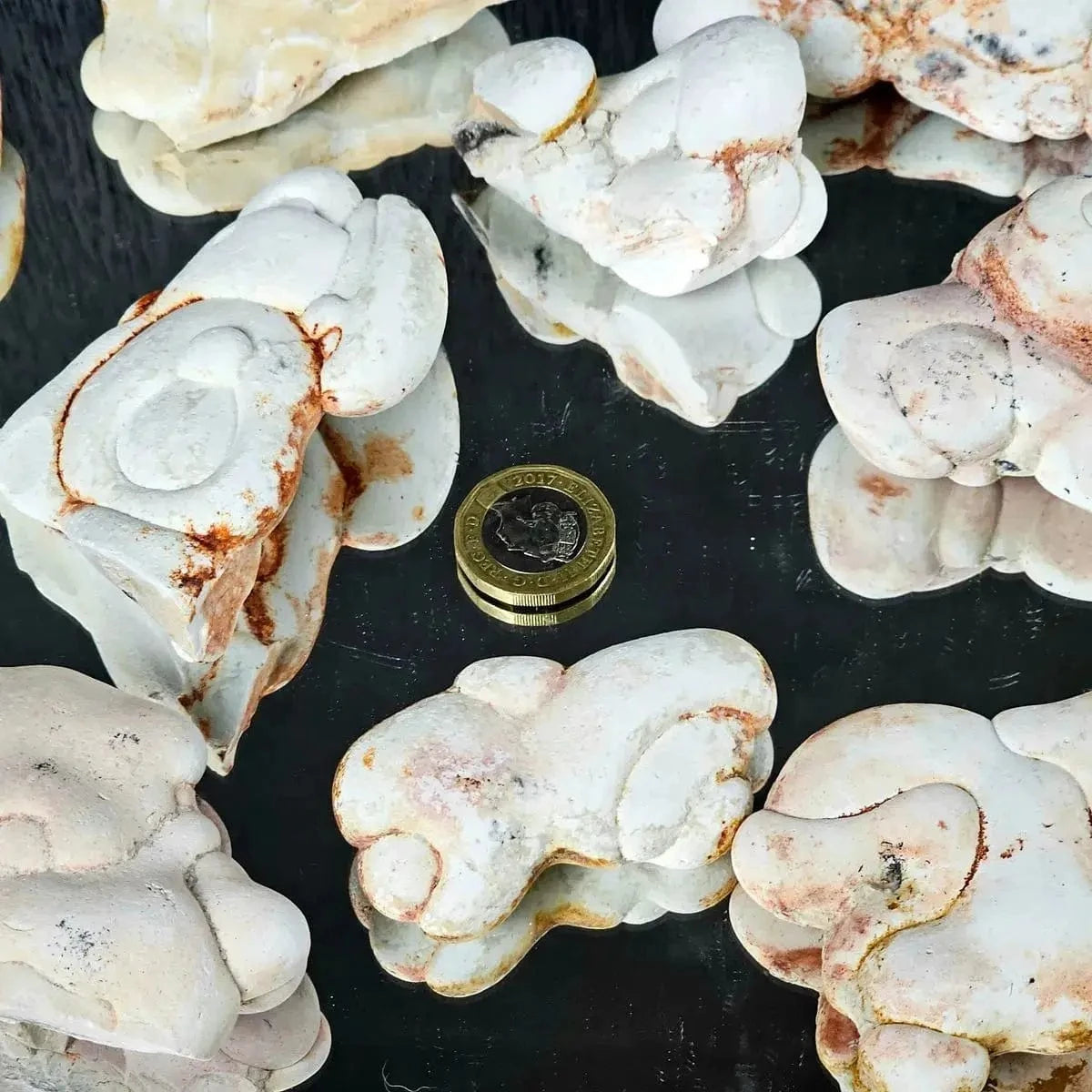 Menalite Stone - The Stone of the Goddess – The Hare and the Moon